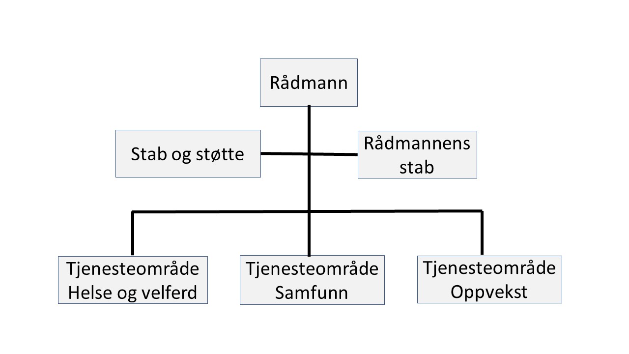 Kommunens organisasjon
